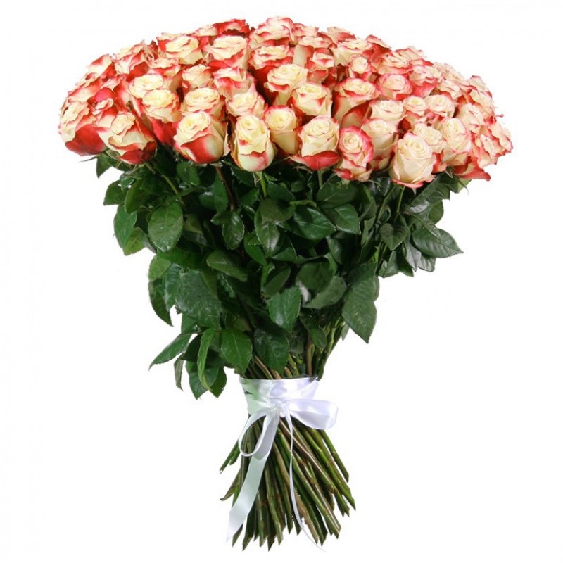 Роза "Свитнес" (описание сорта, отзывы, уход, фото)